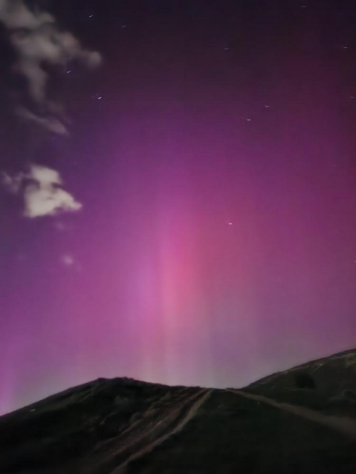 Create a cute scenarios Tier List - TierMaker