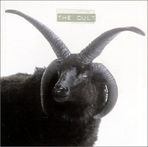 Create a The cult albums ranking Tier List - TierMaker