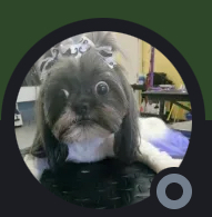 Friend Tier List (Community Rankings) - TierMaker