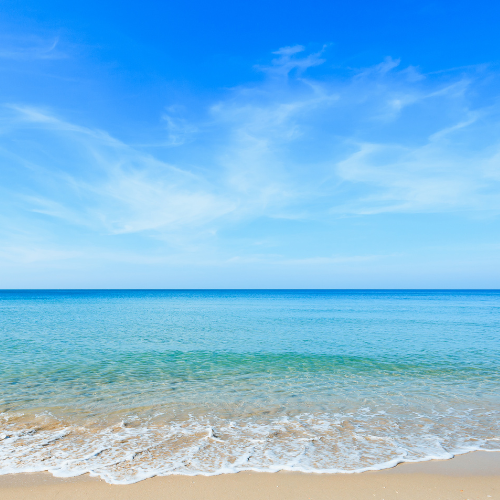 SS Guild Tier List (Community Rankings) - TierMaker