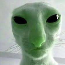 Not normal lair Tier List (Community Rankings) - TierMaker