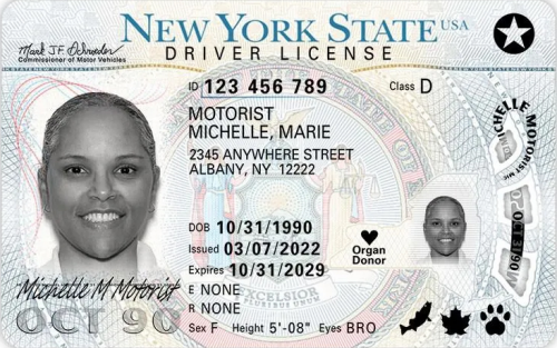 Create a US Drivers Licenses Tier List - TierMaker