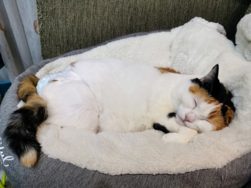 Create a All of my 10s Tier List - TierMaker