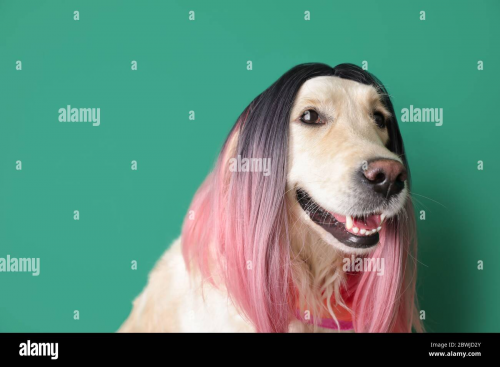 Create a tiers liste concerts Tier List - TierMaker