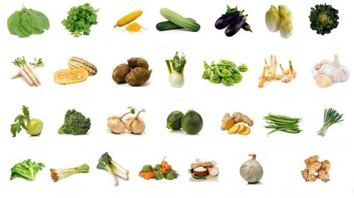 Create a 🟩EVERY Vegetable🟩 Tier List - TierMaker