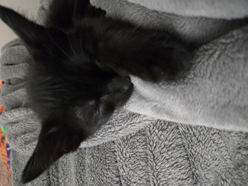 Create a Brazos classmates Tier List - TierMaker