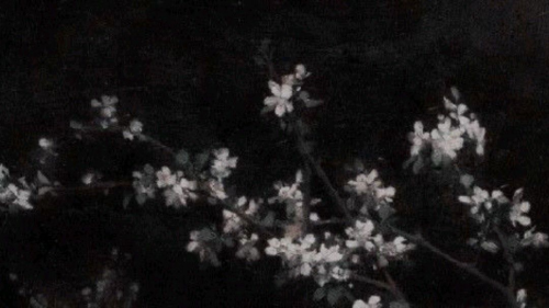 1B student Tier List (Community Rankings) - TierMaker