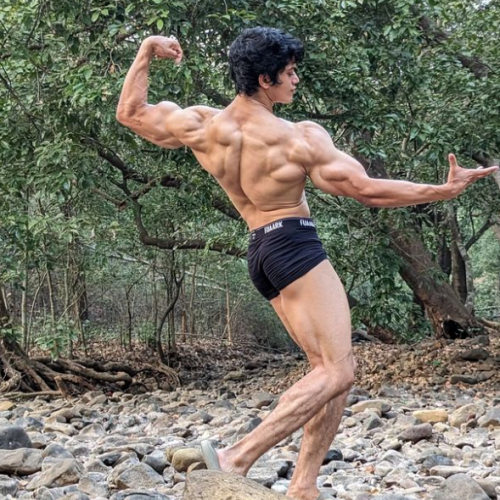 Create a indian fitness influencers Tier List - TierMaker