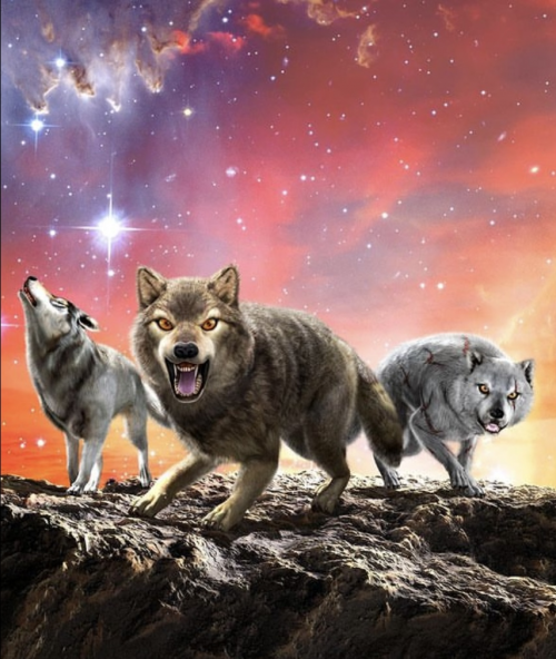 Create a The Wolf Tier List - TierMaker