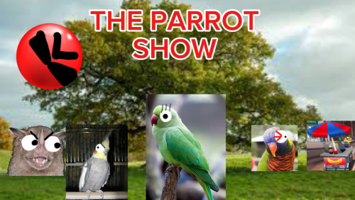 Create a The Parrot Show Episodes Tier List - TierMaker