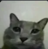 Navy Simulator Ship Weapons Tier List (Community Rankings) - TierMaker