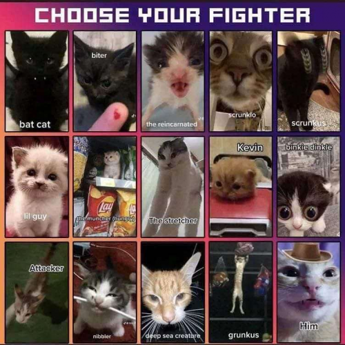 Silly Tier List (Community Rankings) - TierMaker