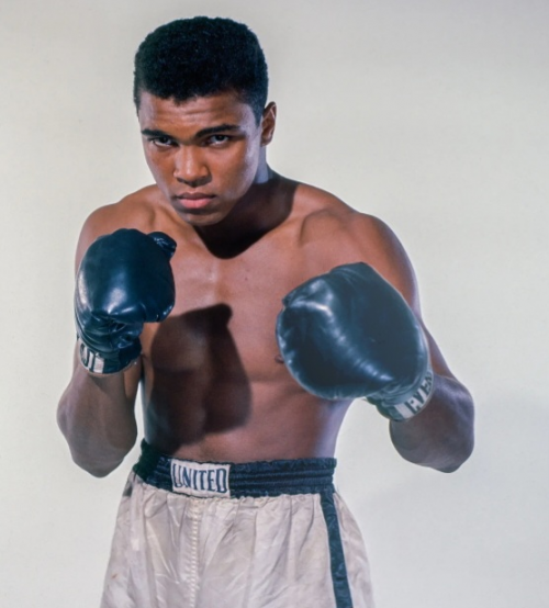 Create a All time heavyweight boxers Tier List - TierMaker