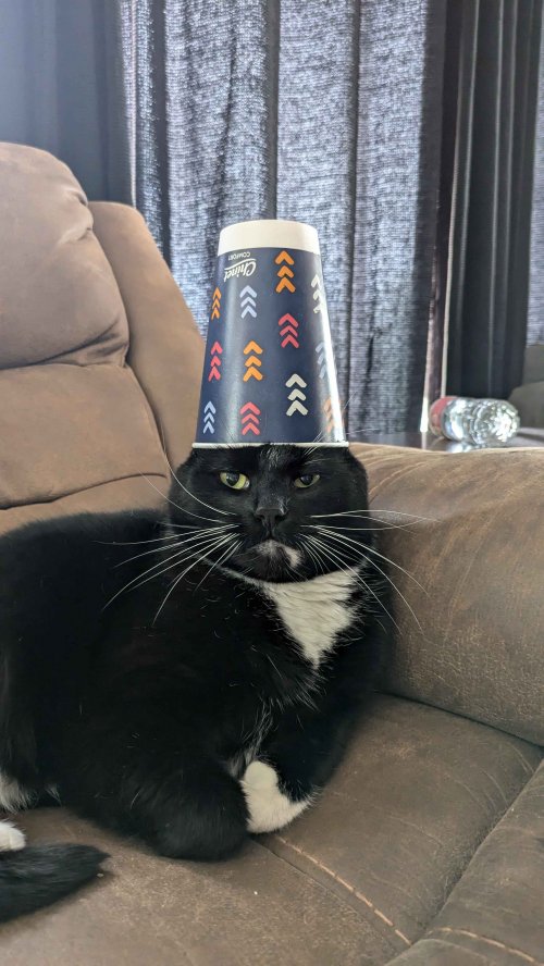 Create a SL Lab Former Staff Tier List - TierMaker