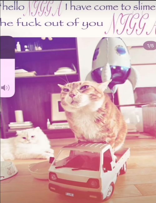 Mr. Freaky's Office Member Tier List (Community Rankings) - TierMaker