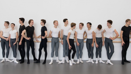 Male ballet variations Tier List (Community Rankings) - TierMaker