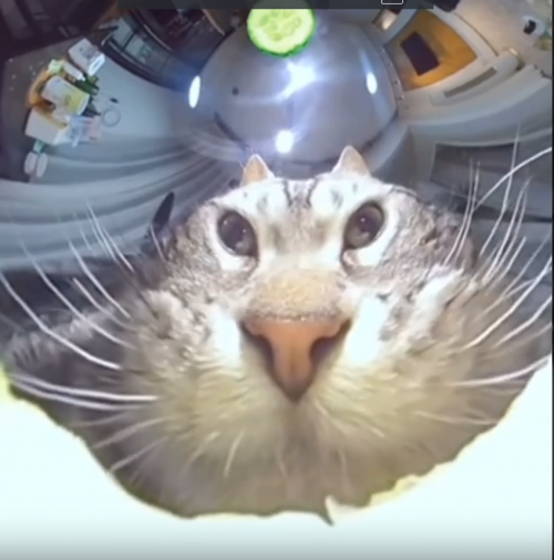 CSC class Tier List (Community Rankings) - TierMaker