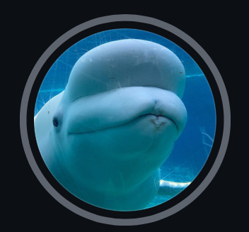 Create a Beluga Battle’s 2 Comp Tier List - TierMaker