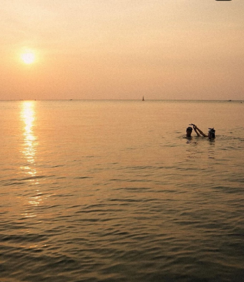 pandee pics Tier List (Community Rankings) - TierMaker