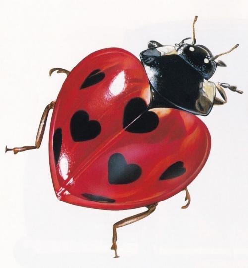 Create a Angel Tier List - TierMaker