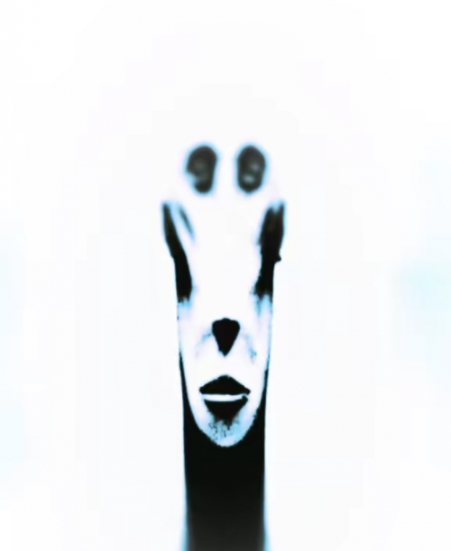 Create a 23-24 Memes Tier List - TierMaker