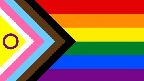 Create a THE BIGGEST PRIDE FLAG TIER LIST!!! Tier List - TierMaker