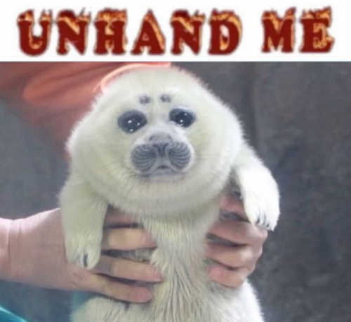 Create A Personal Fictional Crushes Tier List Tiermaker