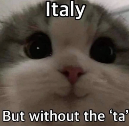 Bobble League Tier List (Community Rankings) - TierMaker