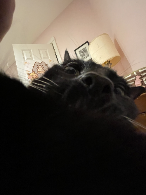 O5 offices Tier List (Community Rankings) - TierMaker