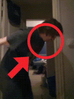 Create a Roje's TMS GIFs Tierlist Tier List - TierMaker