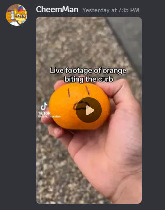 Create a Cheemman Tier List - TierMaker