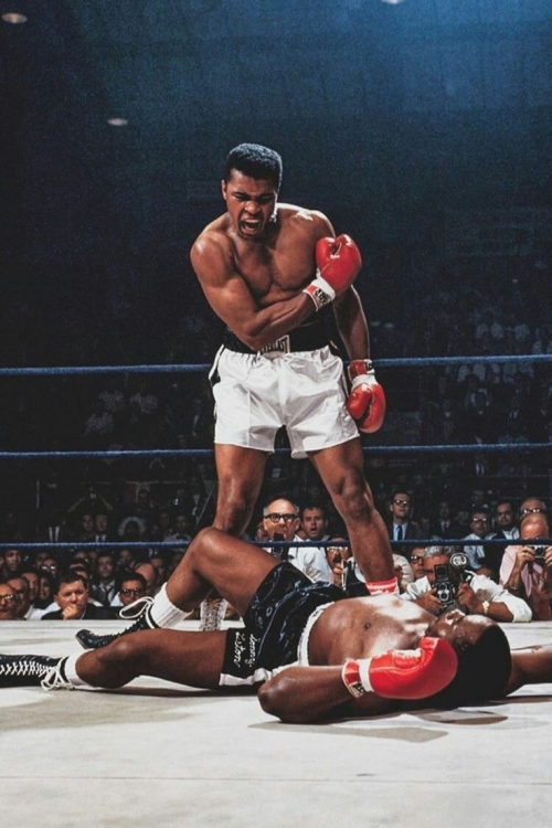 Create a 200+ Boxers Ranked Tier List - TierMaker