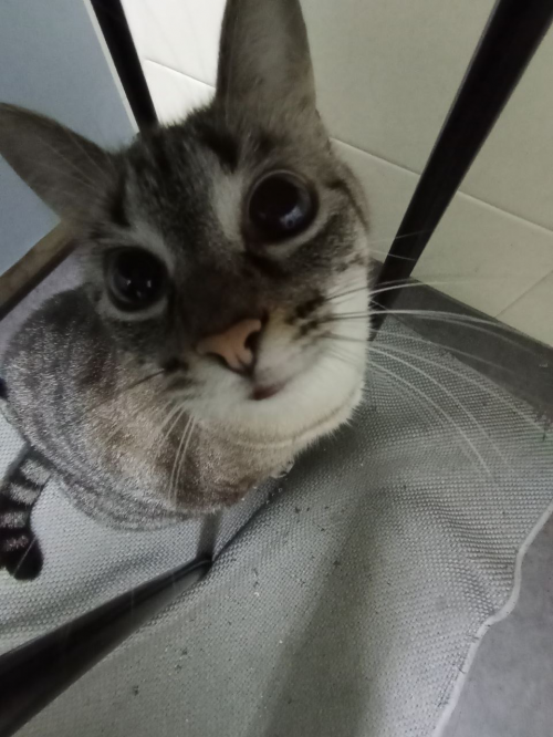 Create a soniavorboiz Tier List - TierMaker