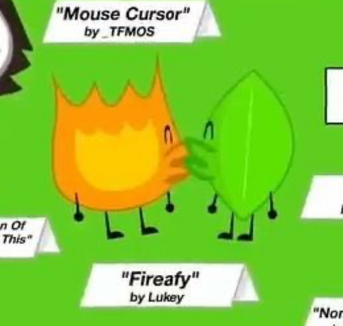 Create a BFDI SHIPS!! Tier List - TierMaker