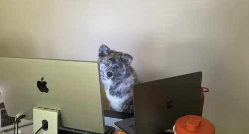 Create a Tennis Racquet Aura Tier List - TierMaker