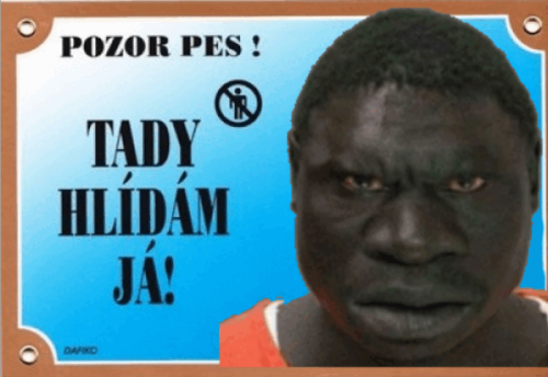 Create a skibidi gyatt nase skilly Tier List - TierMaker