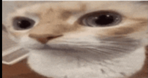 Safe Space Remastered Tier List (Community Rankings) - TierMaker