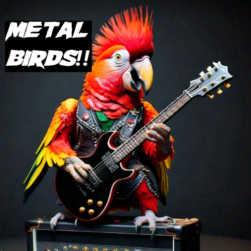 Most Metal Birds Tier List (Community Rankings) - TierMaker