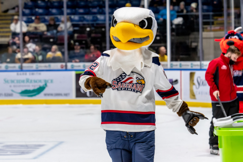 Create a OHL Mascot Rankings Tier List - TierMaker