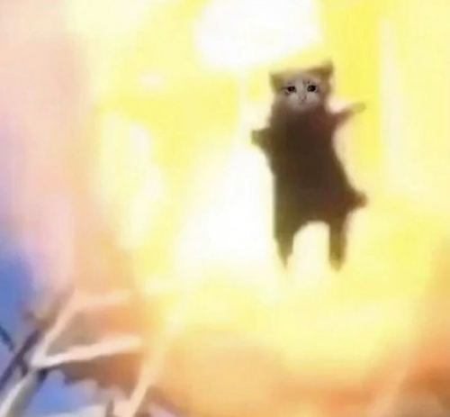 Create a jdm cars Tier List - TierMaker