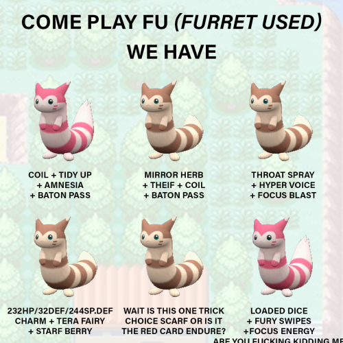 Furret Used Move Viability Ranking Tier List (Community Rankings ...