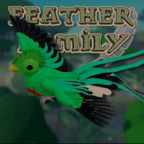 Feather Family Birds Tier List (Community Rankings) - TierMaker