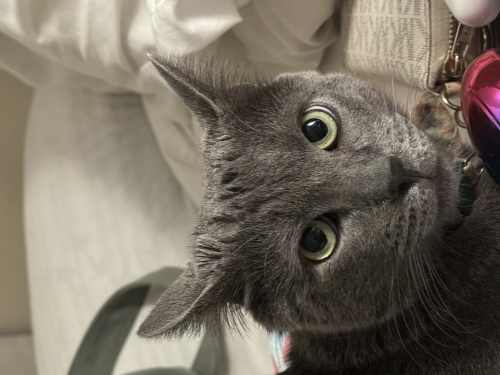 Create a Best car Tier List - TierMaker