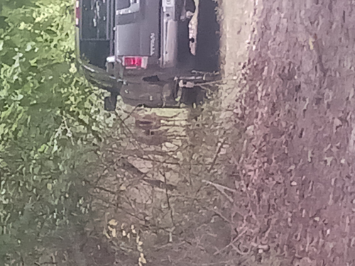 YEP YEP YEP Tier List (Community Rankings) - TierMaker