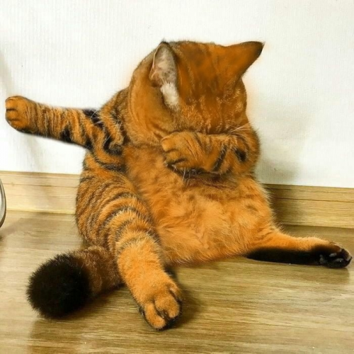 Create a Hyperfixation station video tierlist Tier List - TierMaker