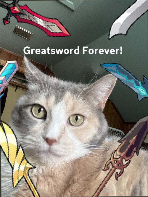 Create a HOG MEMBERS Tier List - TierMaker