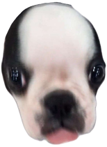 Create a Side Content Creator Tier List - TierMaker