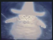 Create a FAT CHUNGUS WIZARD CAT EMOTES TIER LIST Tier List - TierMaker
