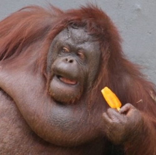 Create a A child starts crying in public... Tier List - TierMaker