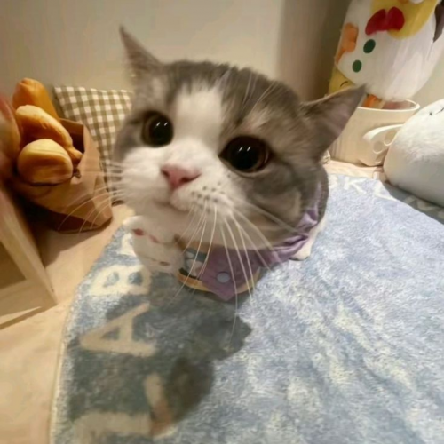 /gcs members Tier List (Community Rankings) - TierMaker